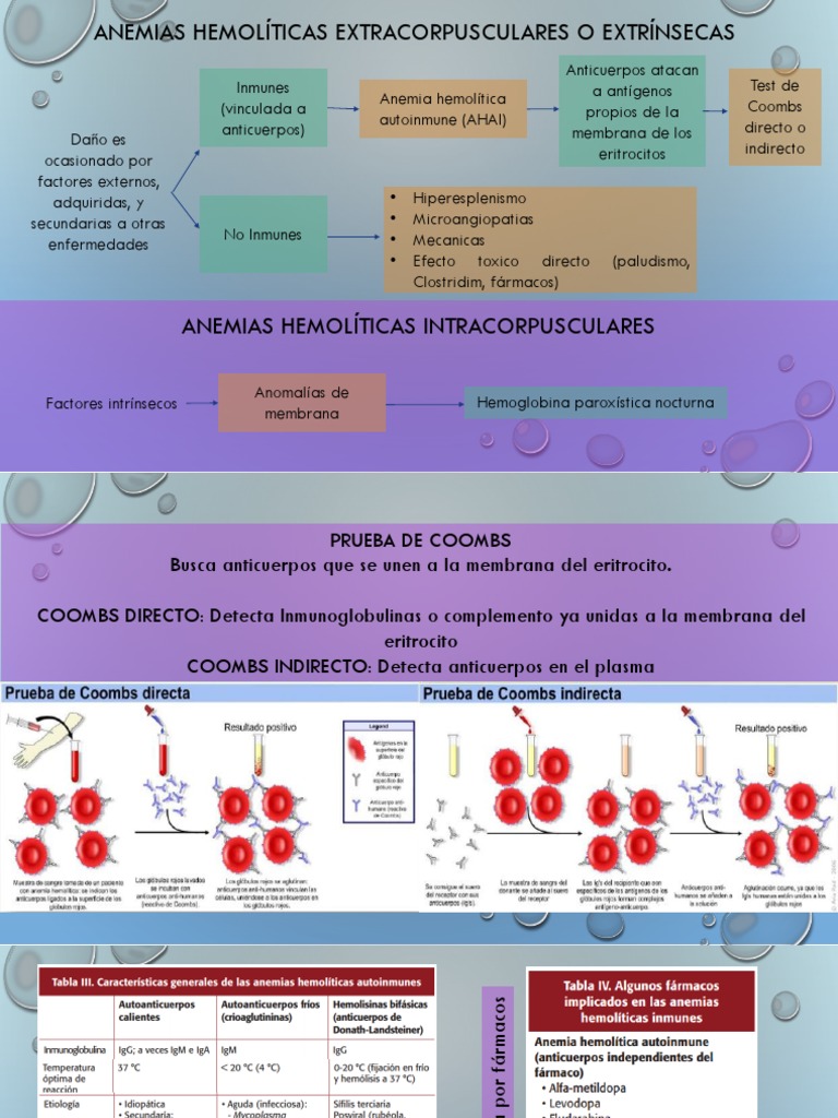 Anemia Hemolítica Extracorpuscular | PDF | Anticuerpo | Anemia