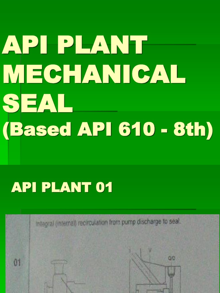 Api Plant Mechanical Seal Training | PDF | Plants