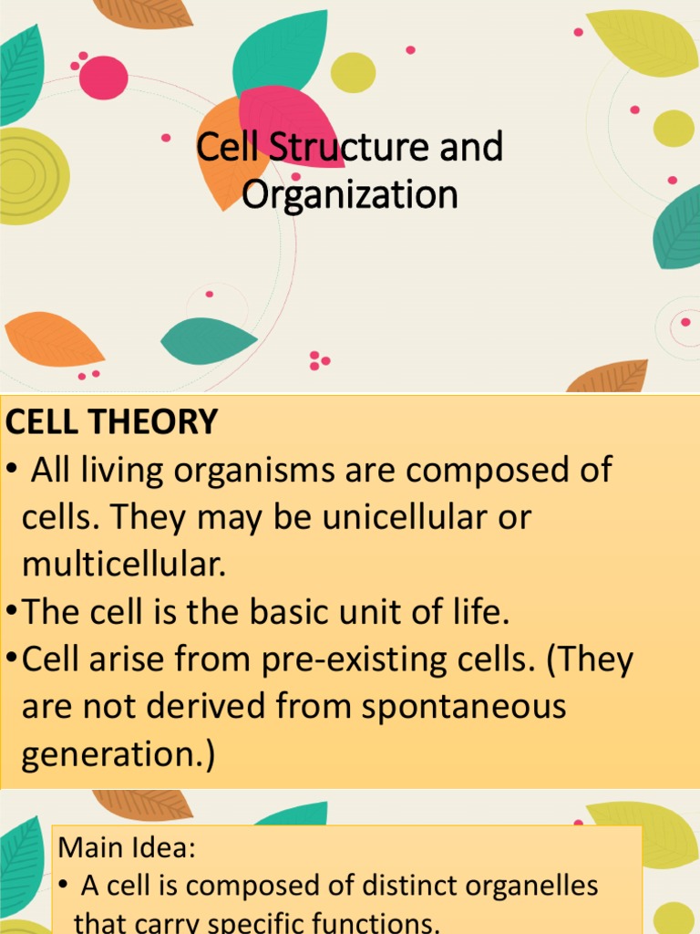 Cell Structure and Organization | PDF | Endoplasmic Reticulum | Cell ...