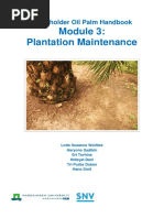 Mpob - Grading Manual - NEW2 | PDF | Palm Oil | Nature