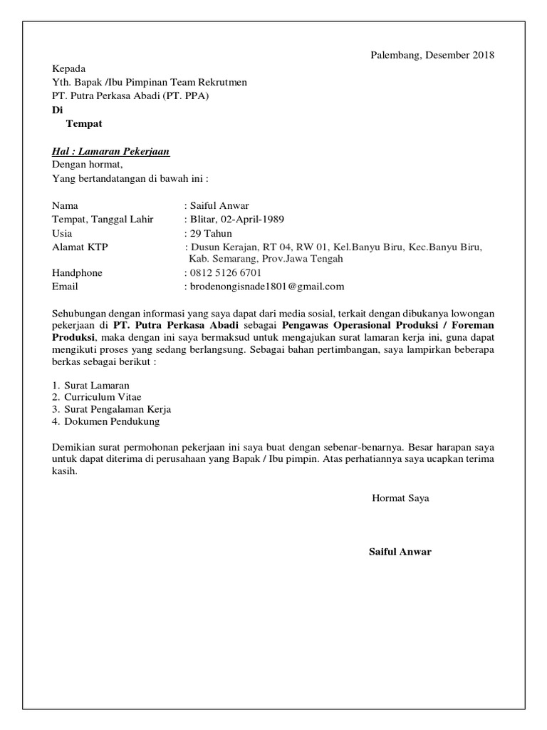 Curriculum Vitae Saiful Anwar | PDF