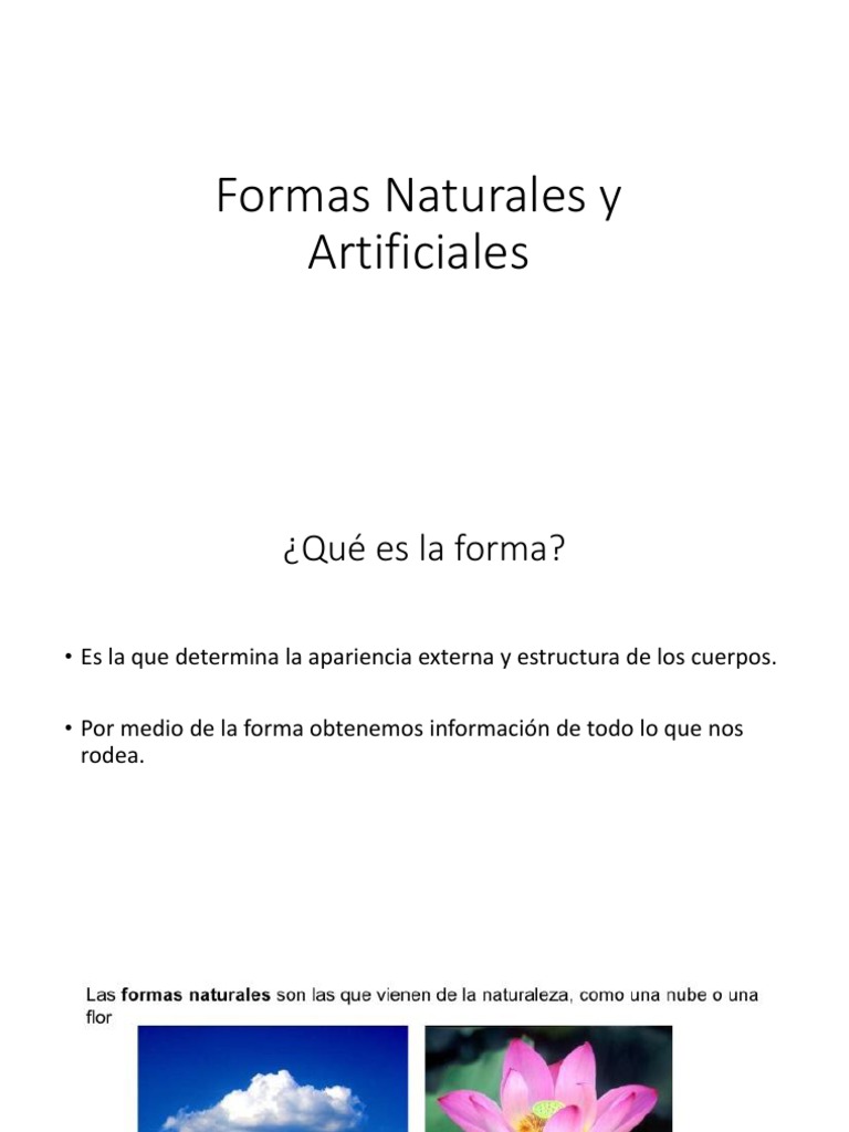 Formas Naturales y Artificiales | PDF
