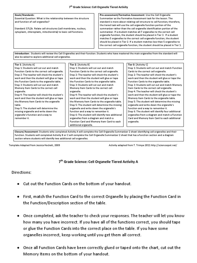 Tiered Cell Organelle Task | PDF | Organelle | Cell (Biology)