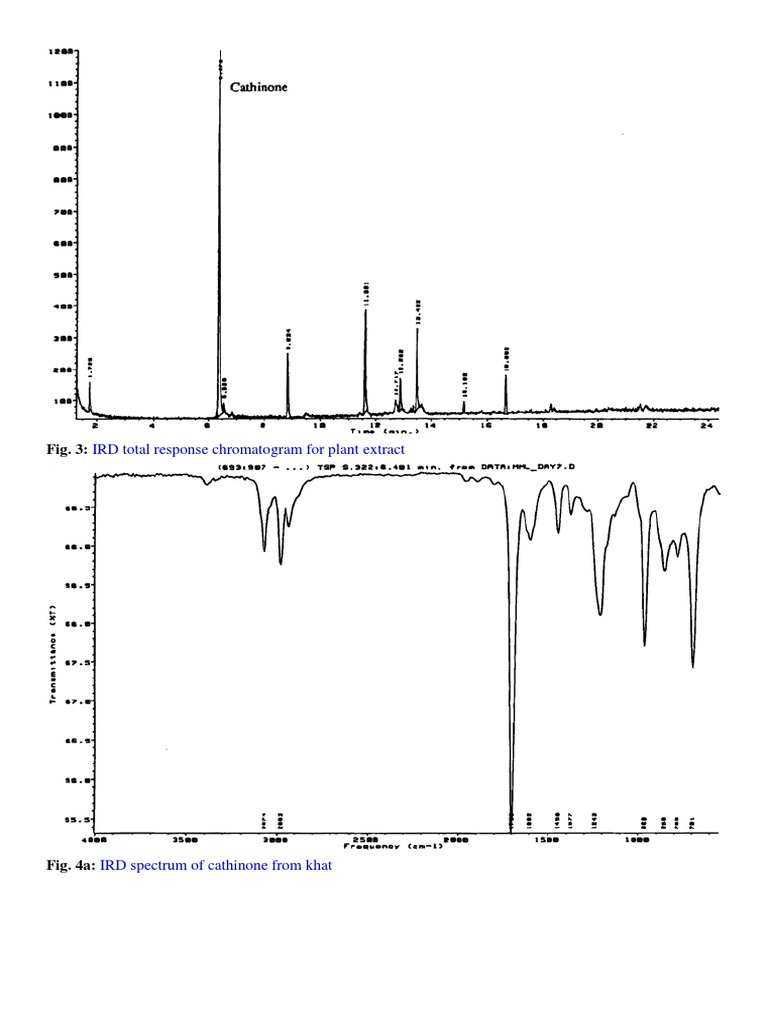 Cathinone Analysis in Khat Extracts | PDF | Teaching Methods ...