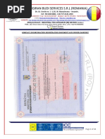 Rab Pks 60 Ton Tbs Per Jam | PDF | Boiler | Steam