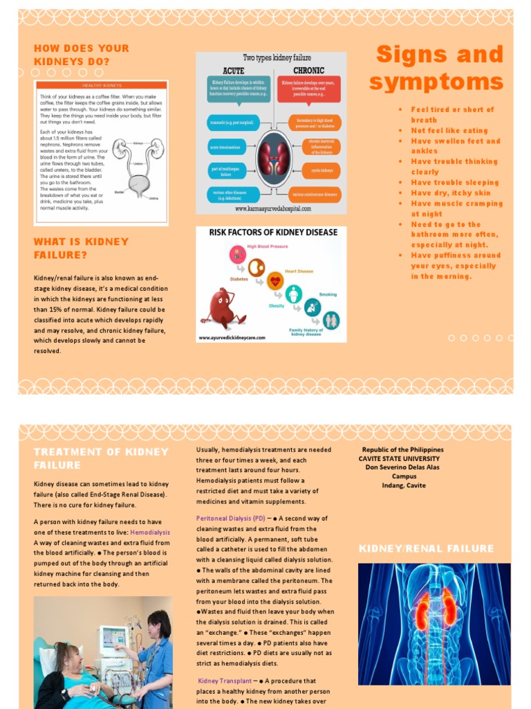 Kidney Disease Brochure Call For Proposals: Assessment Of The Impact