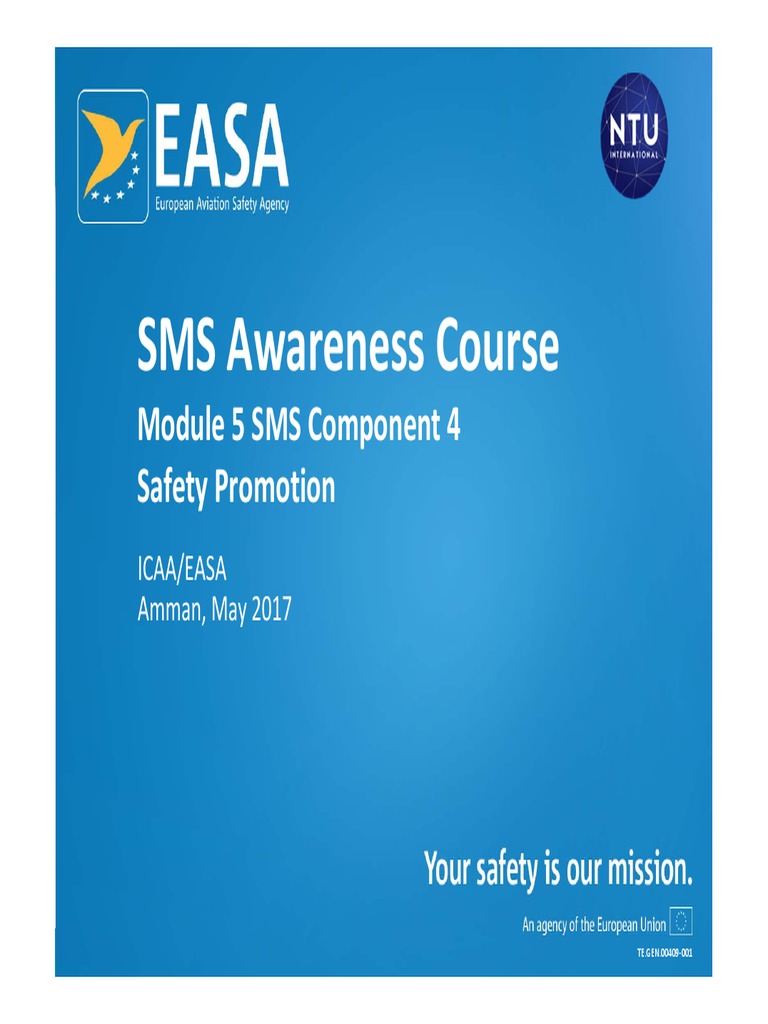 Easa-Icaa Sms m5 | PDF | Communication | Business