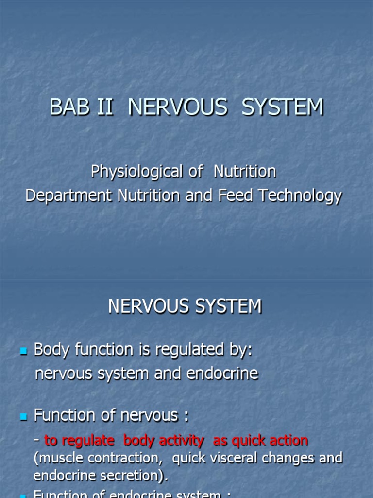 Regulation of the Body: An Overview of the Nervous System and its Role ...