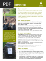 Beetroot Production Guideline 2014 | PDF | Beetroot | Sowing