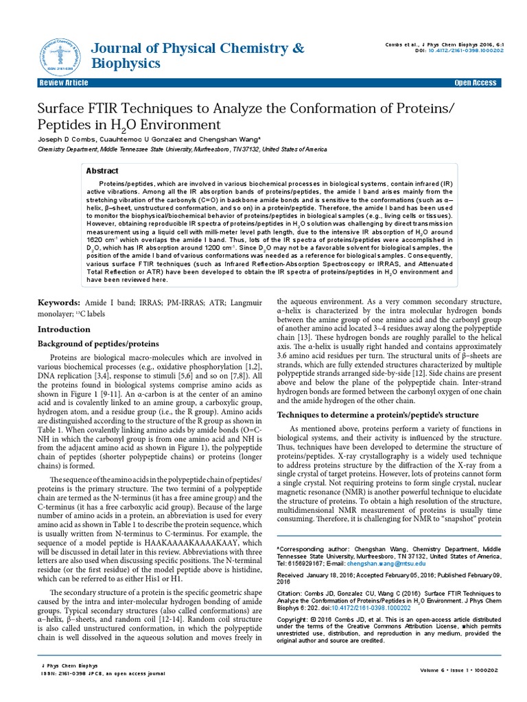 Surface Ftir Techniques To Analyze The Conformation of Proteinspeptides ...