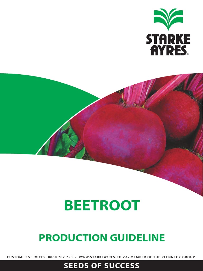Beetroot Production Guidelines South Africa | PDF | Beetroot | Sowing