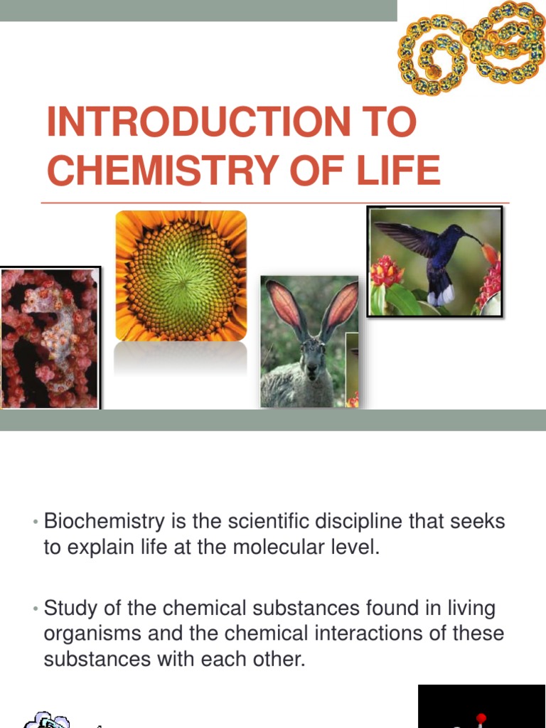 Introduction To Chemistry of Life | PDF | Nucleic Acids | Biomolecules