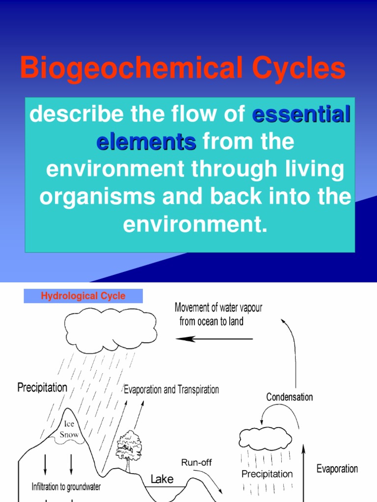 Biogeochemical Cycles: Essential Elements | PDF | Ammonium | Carbon Dioxide