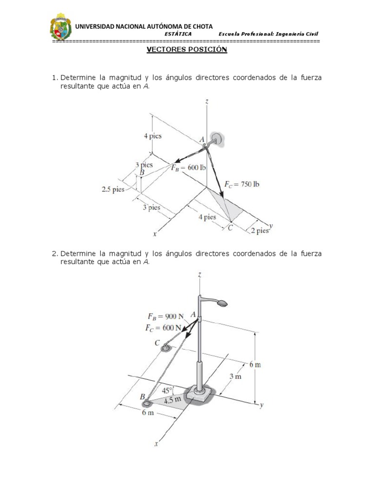 Robert | PDF | Vector Euclidiano | Fuerza