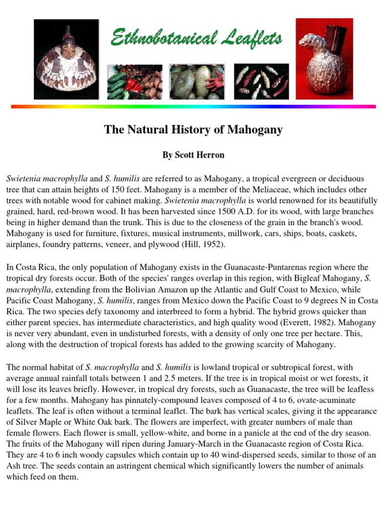 Natural History of Mahogany | PDF | Trees | Plants