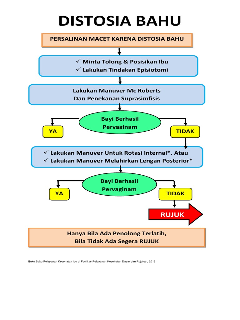 Algoritme Distosia Bahu | PDF