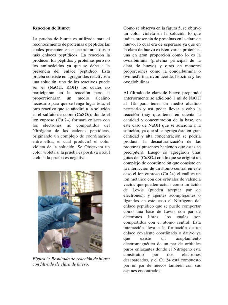 Prueba de Biuret para Detección de Proteínas | PDF | Proteínas ...