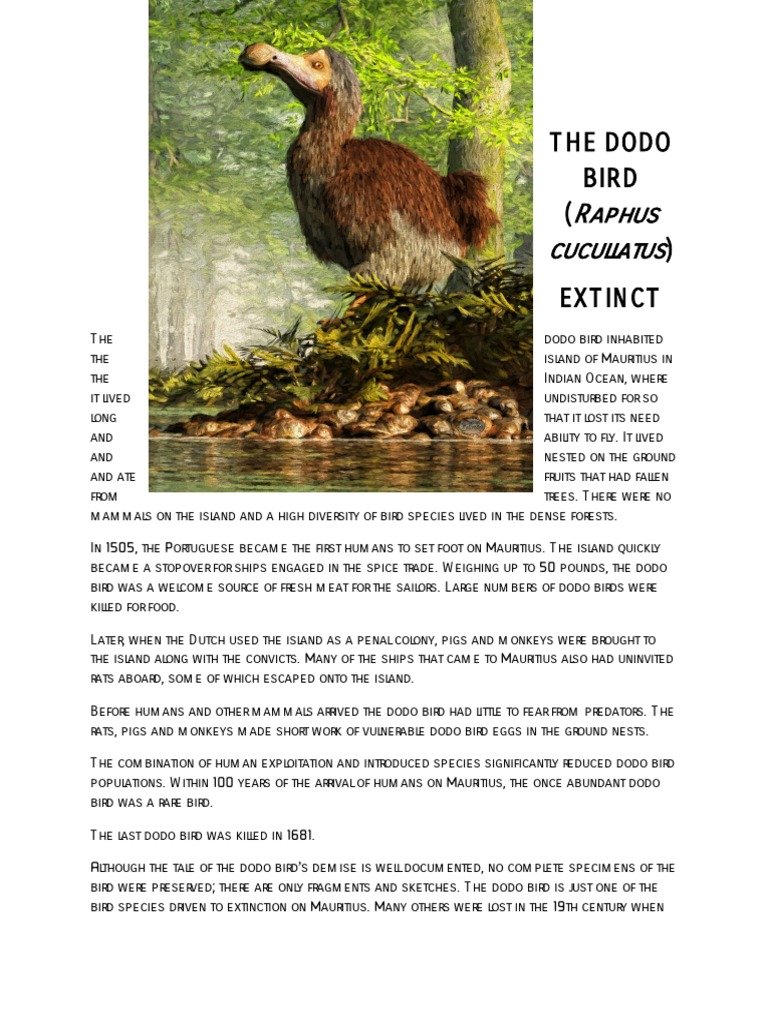 The Dodo Bird: Extinction and Legacy | PDF