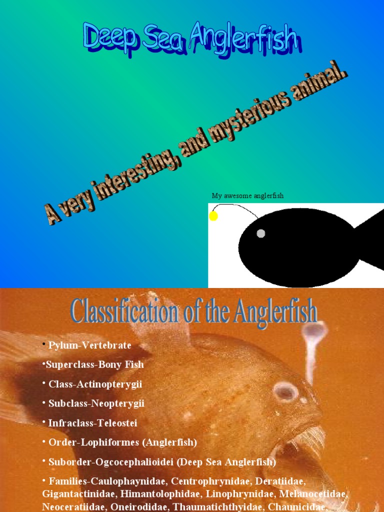 My awesome deep sea anglerfish | PDF | Zoology | Fish