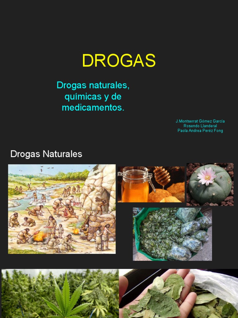 Drogas: Drogas Naturales, Químicas y de Medicamentos | PDF