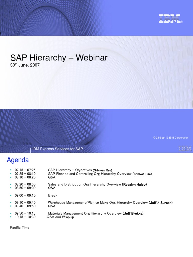 SAP Hierarchy Overview | PDF | Sales | Warehouse