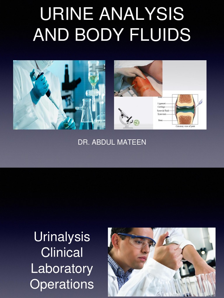 Urinalysis and Body Fluids Overview | PDF | Medical Laboratory ...