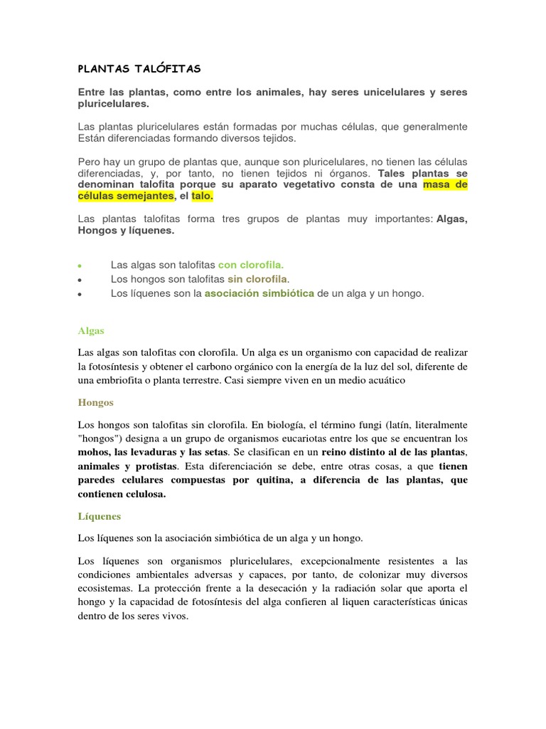 Plantas Talófitas | PDF
