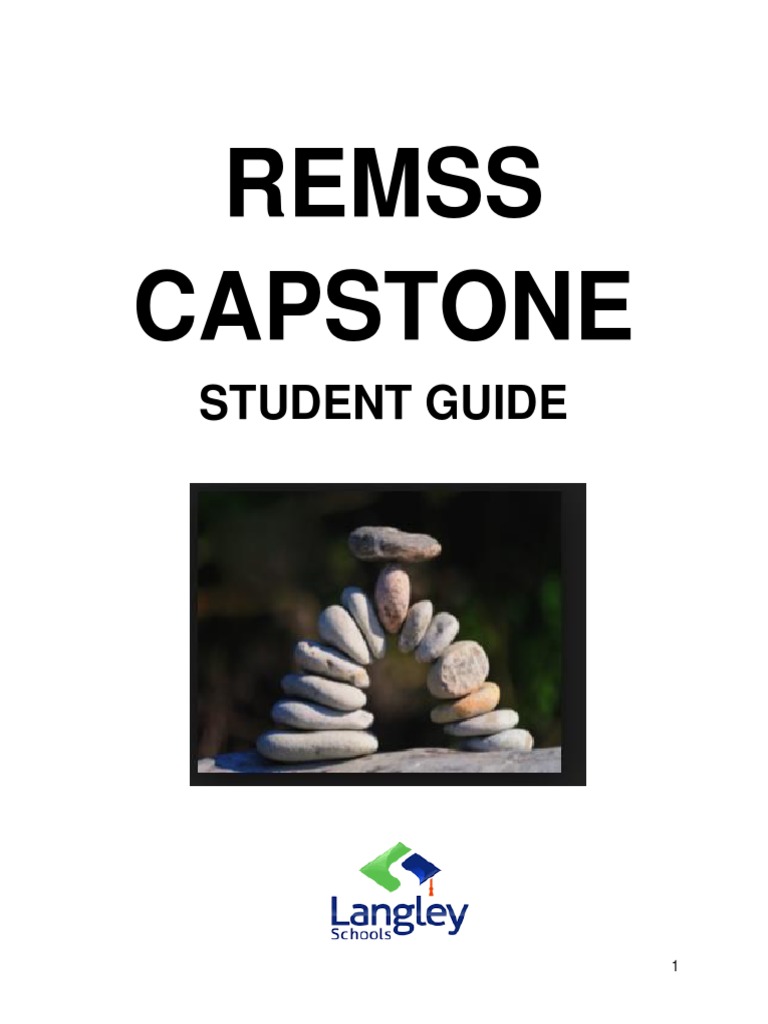 Remss Capstone Guide | PDF | Mentorship | Entrepreneurship