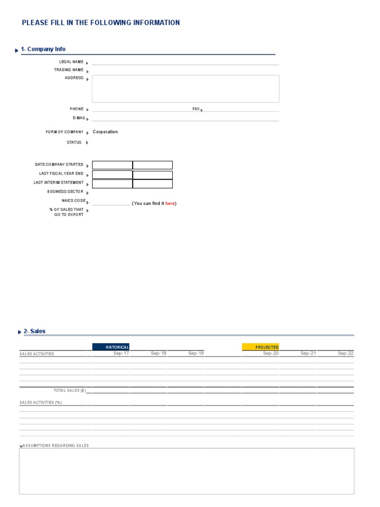 1 - Blank Financial Appendix | PDF | Balance Sheet | Net Income