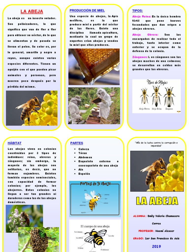 Triptico Valeria | PDF | Abejas | Ganado