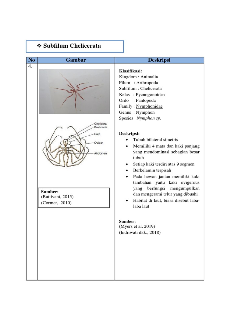 Laporan Referensi Arthropoda-Chelicerata | PDF