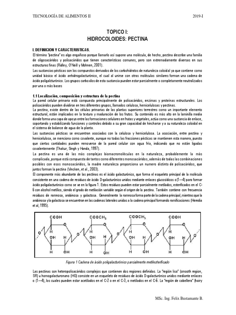 Pectina: Estructura y Clasificación | PDF | Ácido | Solubilidad