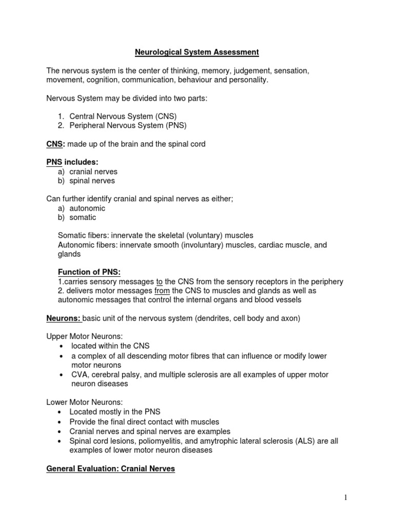 Nervous System Assessment Guide | PDF | Motor Neuron | Central Nervous ...