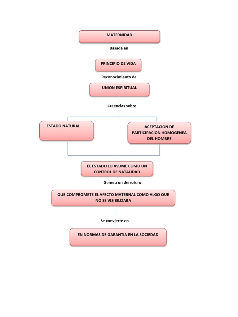 Mapa Conceptual Sobre La Maternidad | PDF