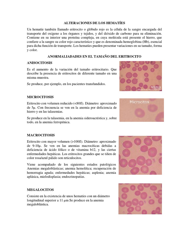 Alteraciones de Los Hematíes | PDF | Glóbulo rojo | Anemia