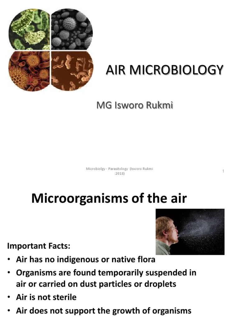 Air Microbiology 2018 - Isw | PDF | Microbiology | Chemistry