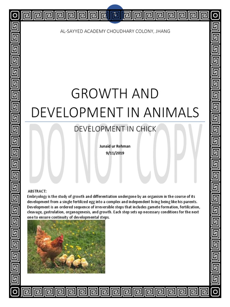 Step-by-Step Chick Development | PDF | Developmental Biology ...