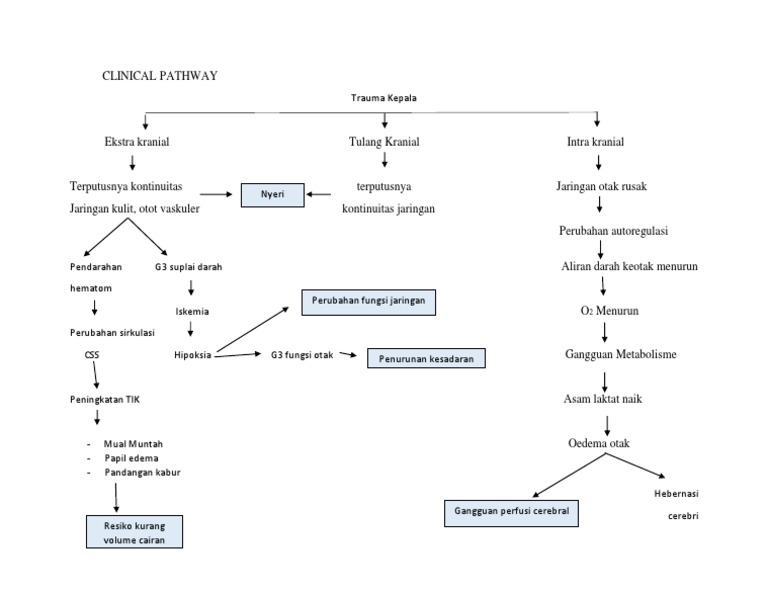 Clinical Pathway CKB | PDF