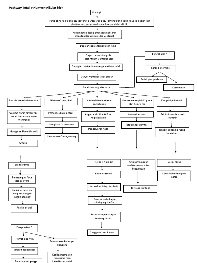 Pathway Av Block | PDF