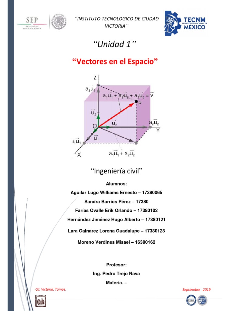 CALCULO VECTORIAL UNIDAD 1 | Vector Euclidiano | Escalar (Matemáticas)