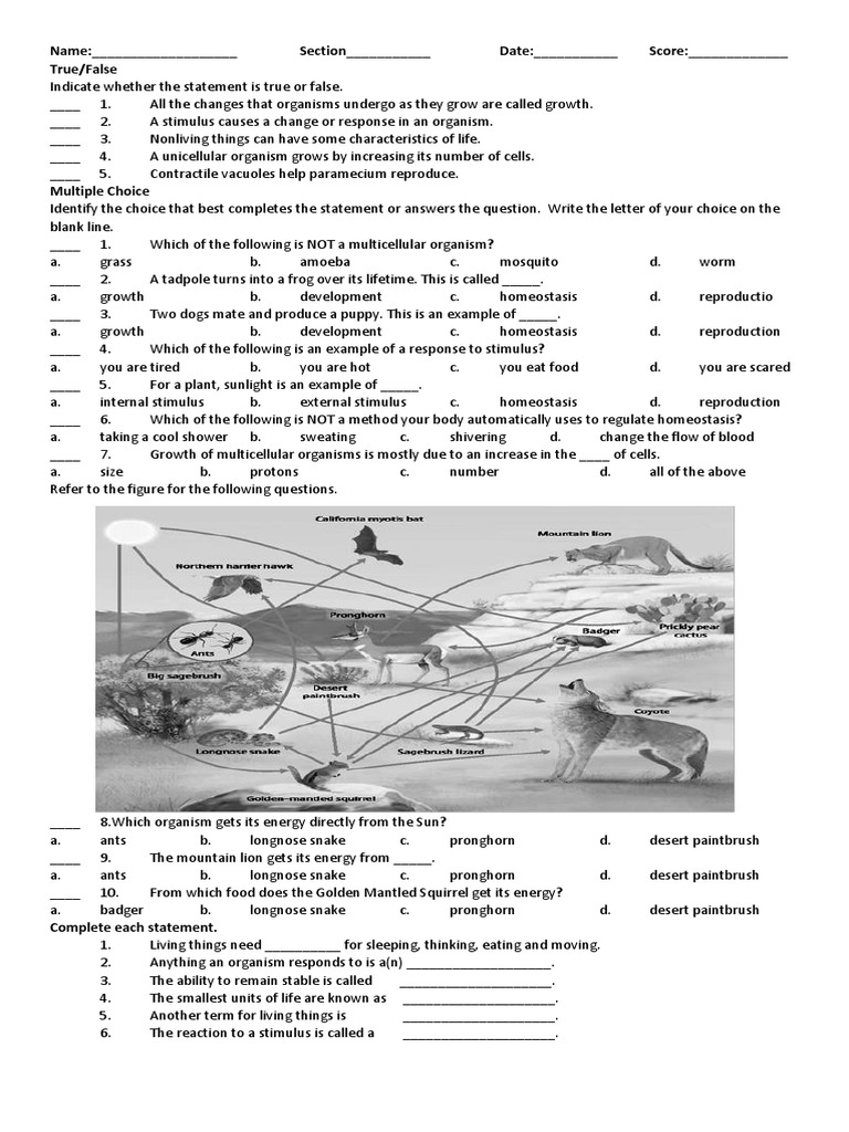 Biology Basics Quiz | PDF | Organisms | Cell (Biology)