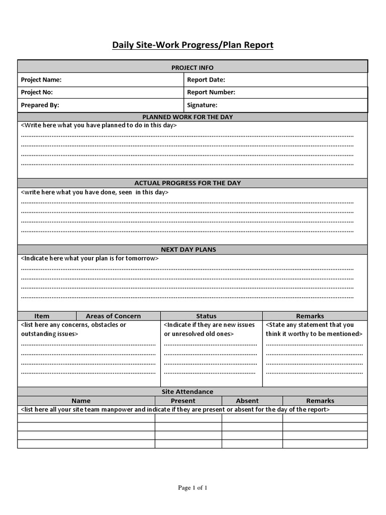 Daily Report Format | PDF