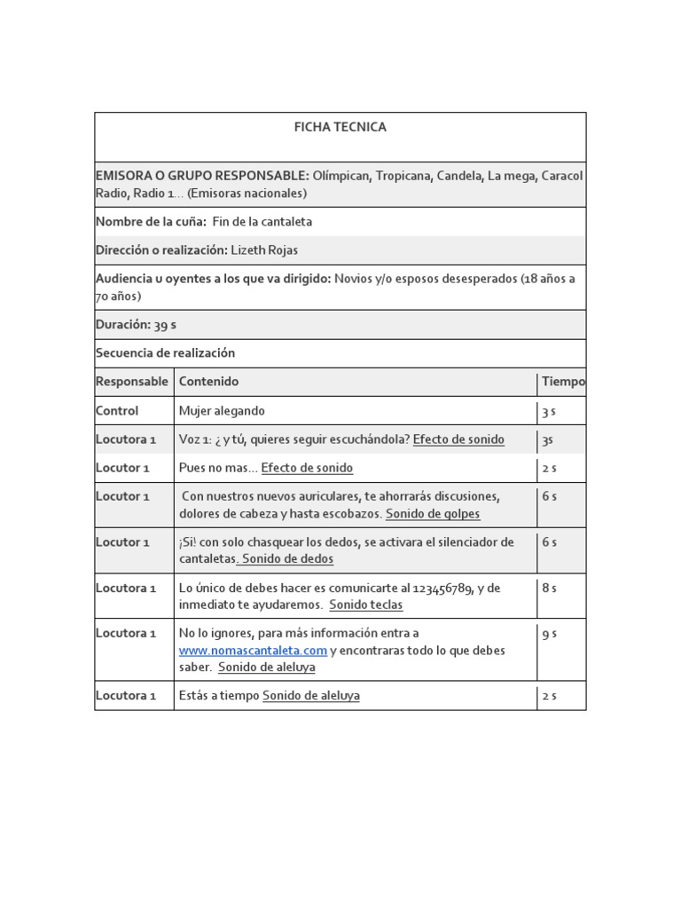 Formato Guion Cuña | PDF