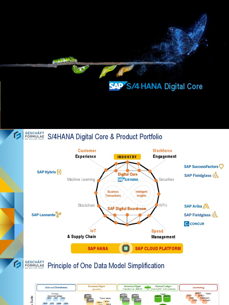S4hana Migration Approach Pdf Sap Se Cloud Computing