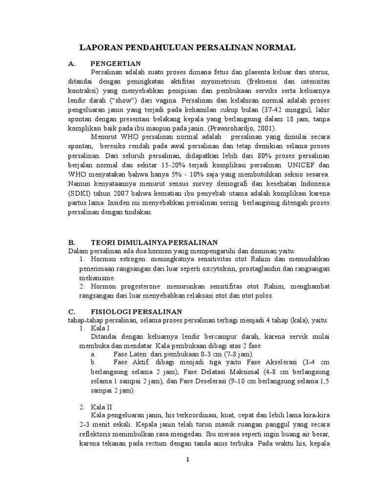 LP Persalinan Normal | PDF