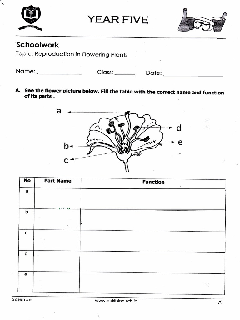 Reproduction in Flowering Plants Guide | PDF | Seed | Germination
