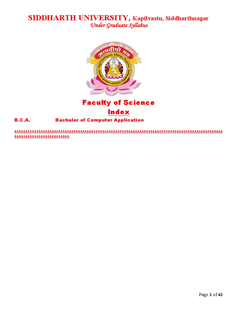 Siddharth Uni UG BCA Syllabus PDF | PDF | Constructor (Object Oriented Programming) | Programming