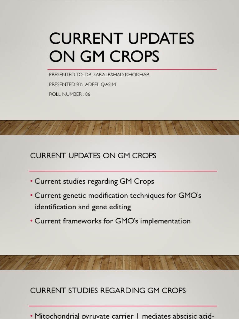 Current Updates On GM Crops: Presented To: Dr. Saba Irshad Khokhar ...