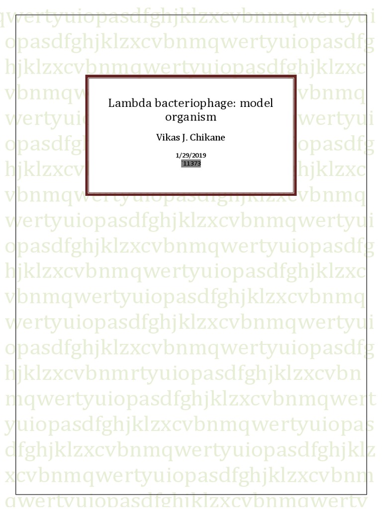 The Structure and Genetic Map of Lambda | PDF | Bacteriophage | Dna