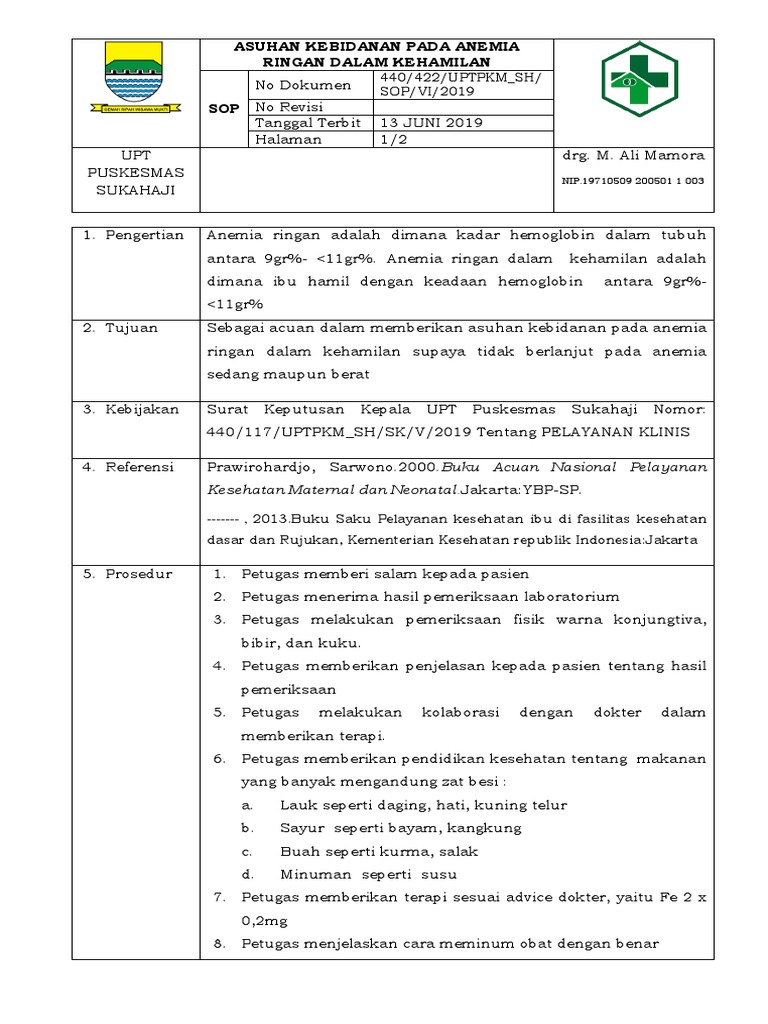 Sop Askeb Anemia Ringan Dalam Kehamilan | PDF